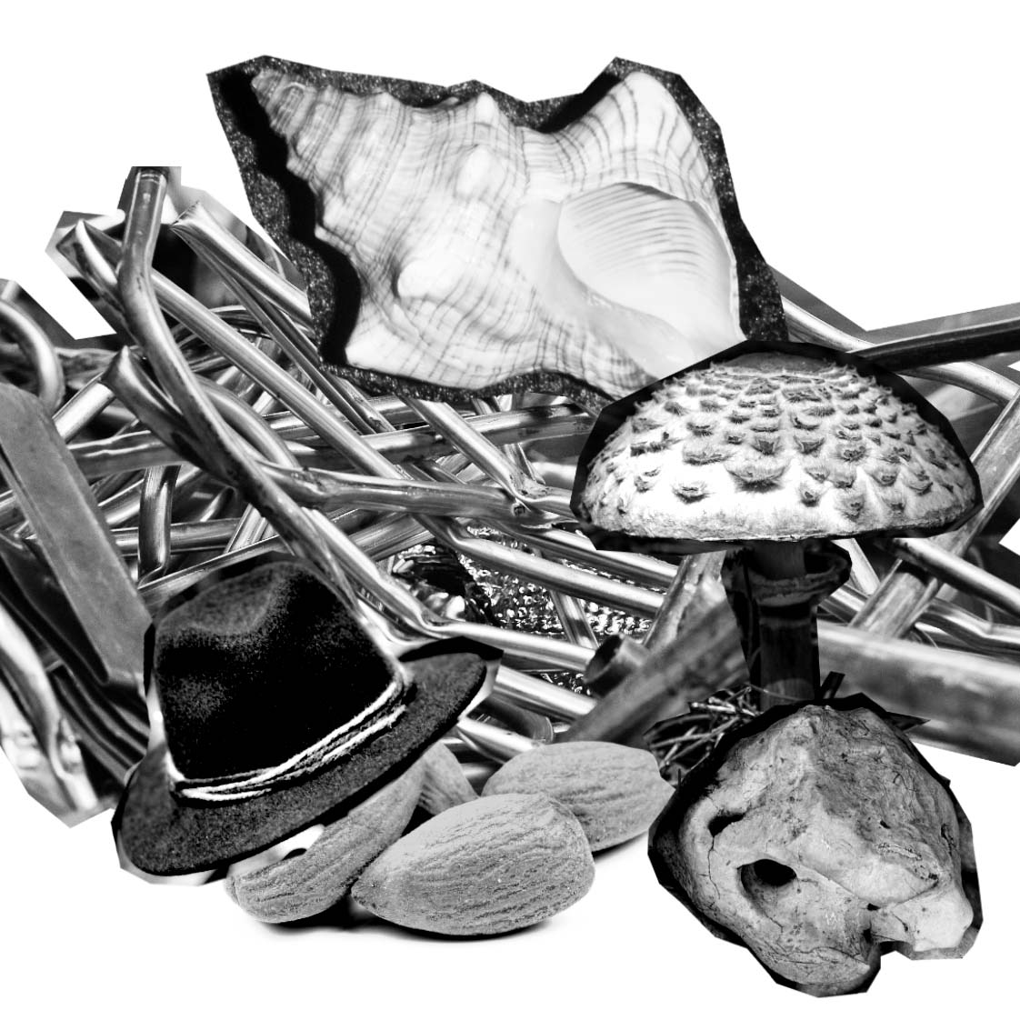 Amt für Wunschentwicklung — Beuys Box